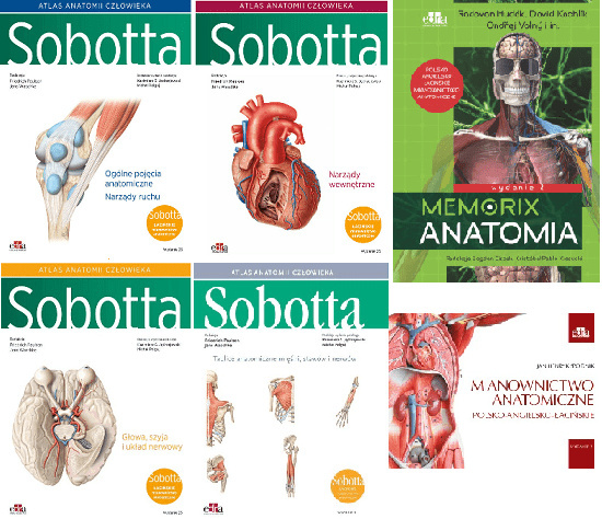 Atlas anatomii Sobotta Tomy 1-3 + Tablice anatomiczne Sobotta Łacińskie ...